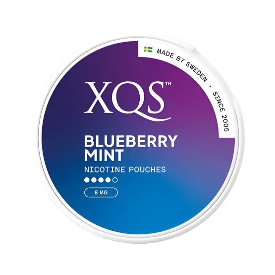 Buy XQS Blueberry Mint snus in Spain | Snuzia